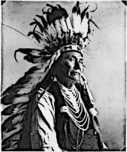 Nez Perce