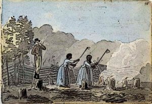 History Of American Slavery: Origins, System & Legacy